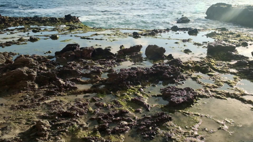rocky tide pools filling sea water Stock Footage Video (100% Royalty ...