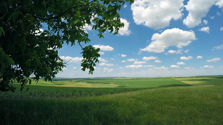 walnut farmers' fields 1920x1080 hdv Stock Footage Video (100% Royalty ...