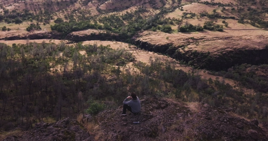 Dog overlooking the valley landscape image - Free stock photo - Public ...