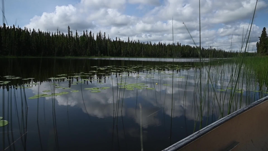 Landscape with reeds with pond and Lily Pads image - Free stock photo ...