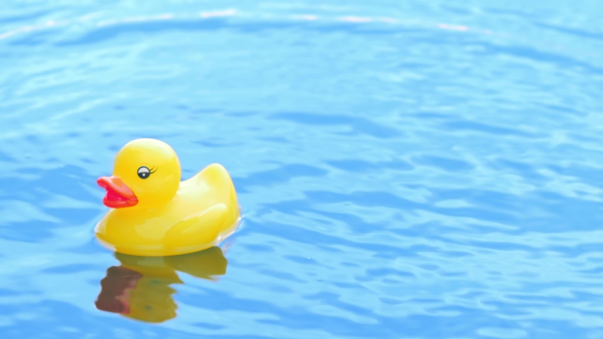 rubber duck on life ring floating Stock Footage Video (100% Royalty ...