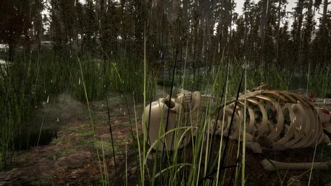 Human Skeleton Forest Rainy Weather Horror Stock Footage Video (100% ...