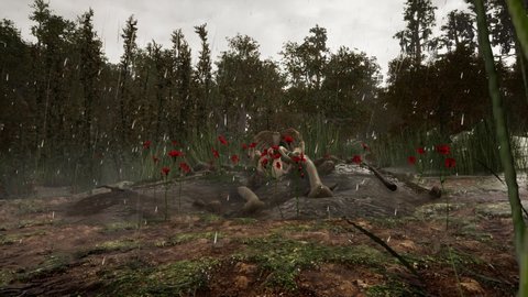 Human Skeleton Forest Rainy Weather Horror Stock Footage Video (100% ...