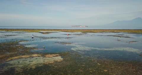 Aerial Top View Agaragar Farm Ocean Stock Footage Video (100% Royalty ...
