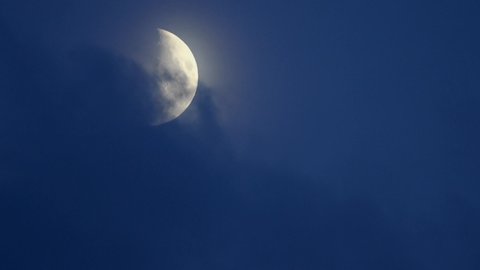 Cartera de videos de stock de davidek1 | Shutterstock