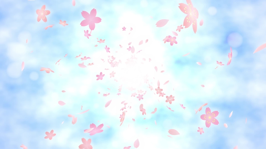 Animation Falling Petals Sakura Flowers Sakura Stock Footage Video (100 ...