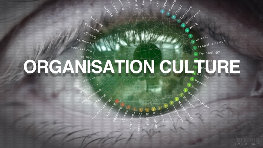 Close up of an Eye Stock Footage Video (100% Royalty-free) 1033951529 ...