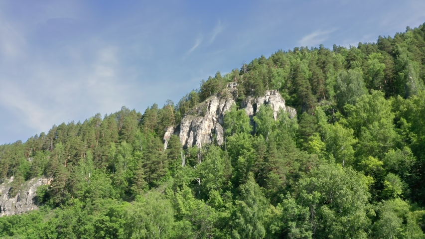 alaska forrest tree rocks cliff large Stock Footage Video (100% Royalty ...