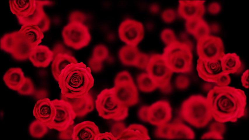 Falling Red Roses Seamless Looping Stock Footage Video (100% Royalty ...