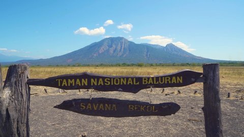 Baluran national park Stock Video Footage - 4K and HD Video Clips ...