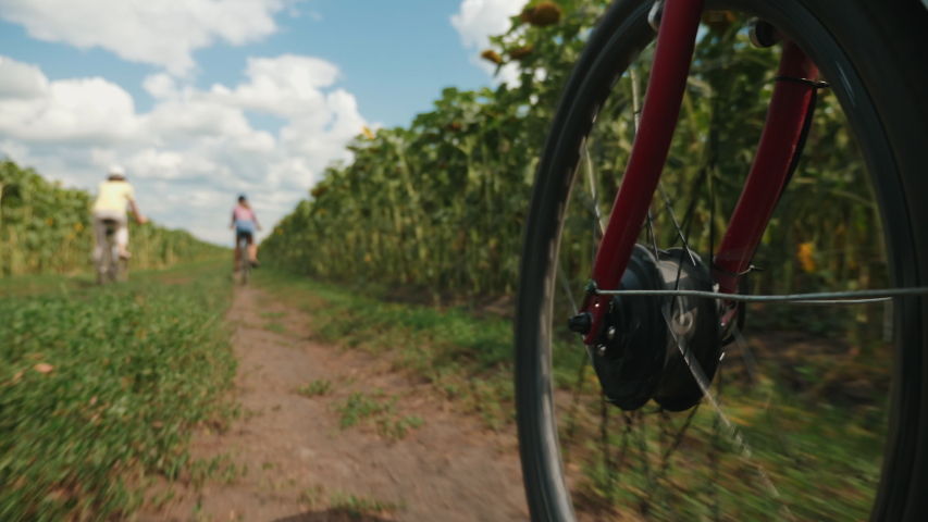 closeup bicycle wheel motion speed along Stock Footage Video (100% ...