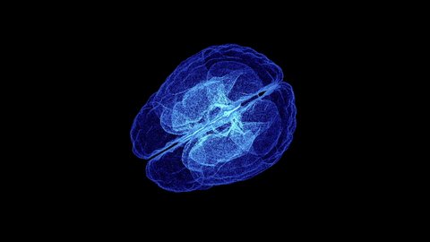 Formation Blue Brain Binding Born Top Stock Footage Video (100% Royalty ...