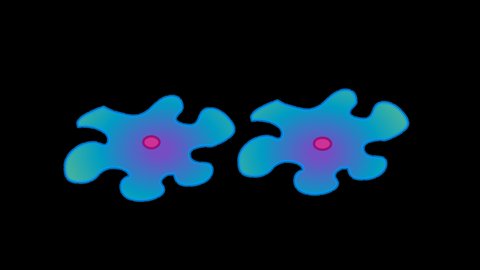 Amoeba Division Asexual Reproduction Nucleus Cytoplasm Stock Footage ...