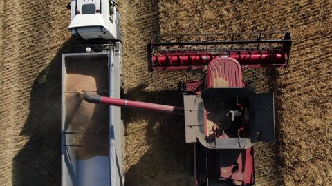 Top View Combine Harvester Pouring Processed Stock Footage Video (100% ...