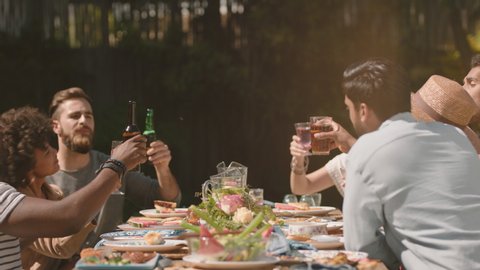 group friends celebrating making toast friendship Stock Footage Video ...