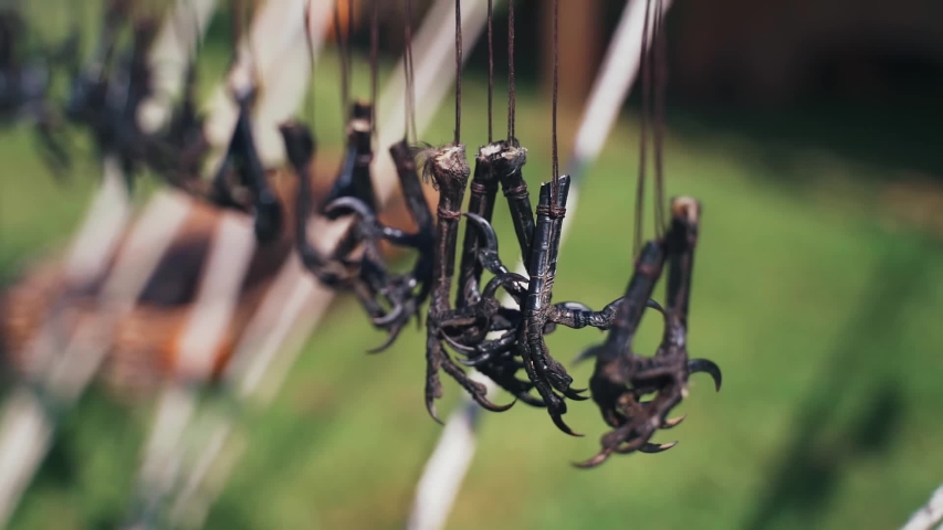 Close up of Crows Feet Stock Footage Video (100% Royalty-free ...