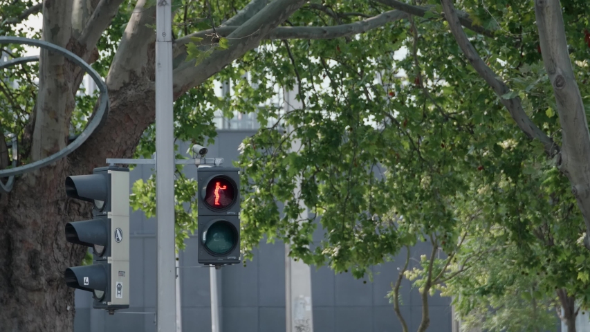 Pedestrian Crossing Sign - Crosswalking Stock Footage Video (100% ...