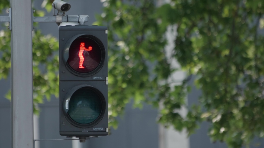「Pedestrian Crossing Sign - Crosswalking」の動画素材（ロイヤリティフリー）1034448164 ...