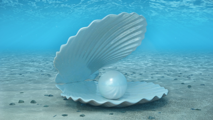 pearl inside seashell beautiful shell on Stock Footage Video (100% ...