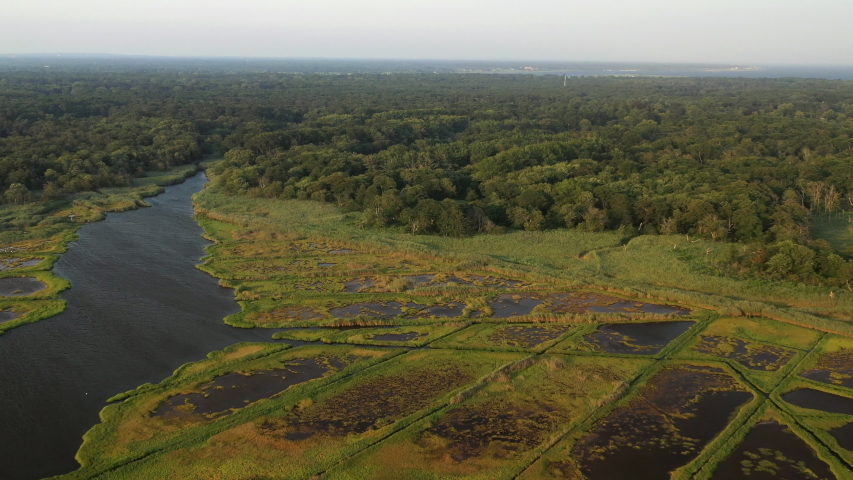 Crane flying over the Swamp image - Free stock photo - Public Domain ...