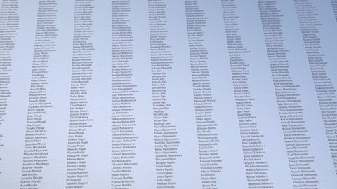 Bansuri Flute Beginners Fingering Chart 12 Stock Illustration ...