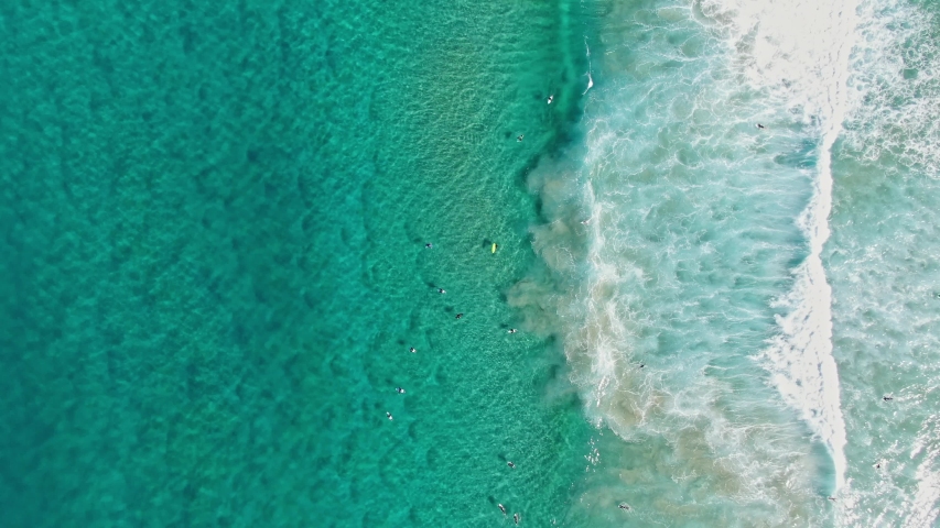 Stunning Dynamic 4k Aerial Birds Stock Footage Video (100% Royalty-free ...