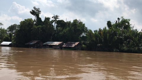 Rompin River View Lush Greenery Along Stock Footage Video (100% Royalty ...