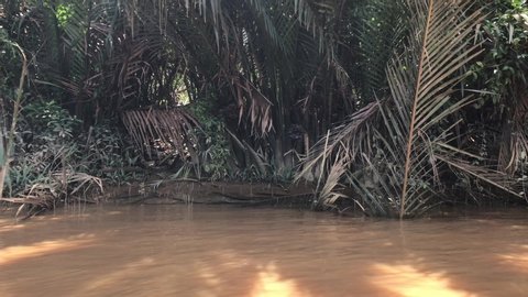 Rompin River View Lush Greenery Along Stock Footage Video (100% Royalty ...