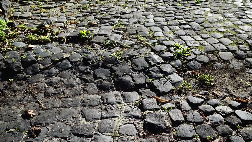 typical ancient roman pavement porphyry brick Stock Footage Video (100% ...