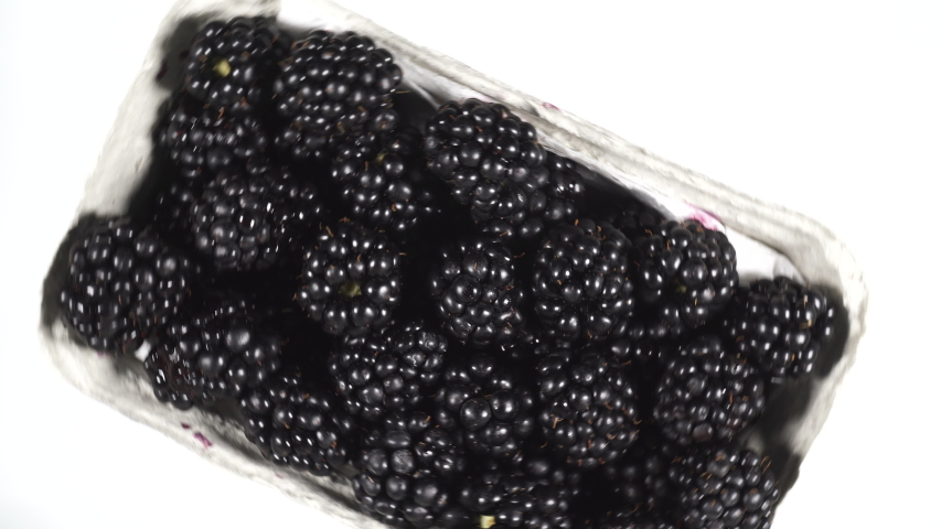 Boxes of Blackberries image - Free stock photo - Public Domain photo ...