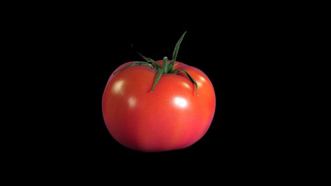 Realistic Tomato Spinning Alpha Transparent Background Stock Footage ...