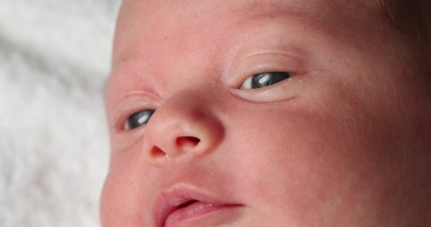 Caucasian Boy Blue Eyes Ruddy Cheeks Stock Photo 1021725610 | Shutterstock