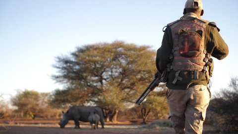 Armed African Wildlife Ranger Stands Small Stock Footage Video (100% ...