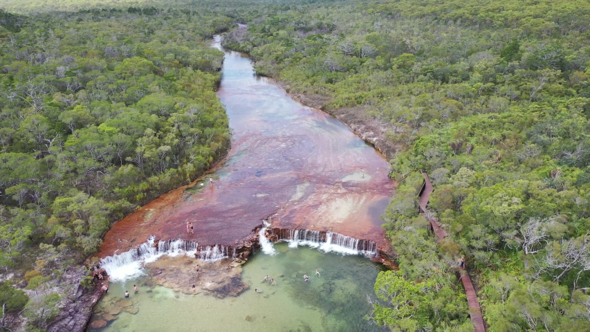Canyon bat Stock Video Footage - 4K and HD Video Clips | Shutterstock