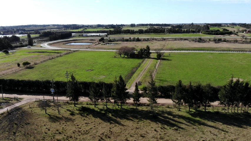 Horse Racing contestants in a race image - Free stock photo - Public ...