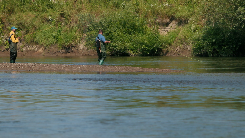 Two Birds catching a bug image - Free stock photo - Public Domain photo ...