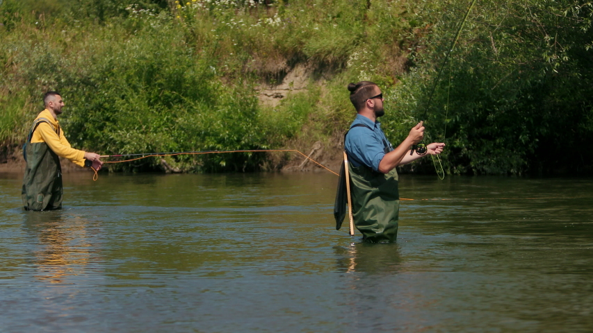 Two Birds catching a bug image - Free stock photo - Public Domain photo ...