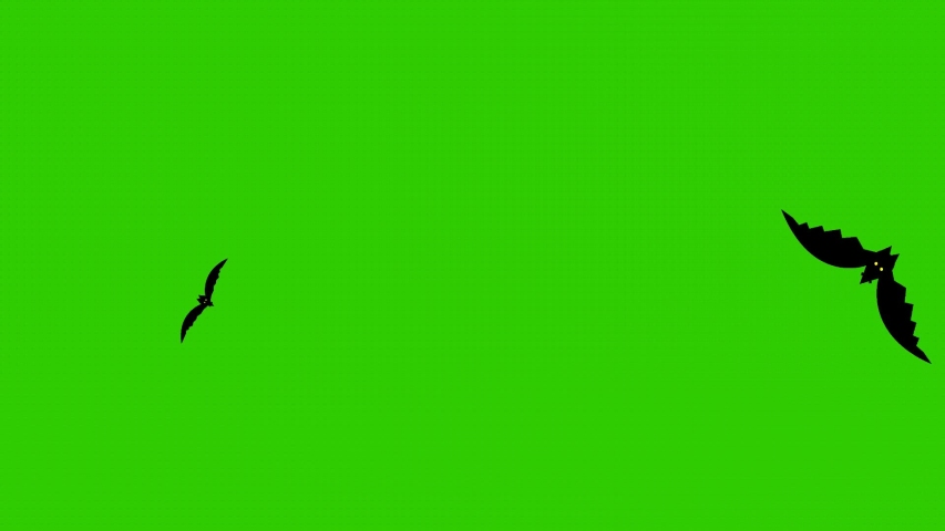 flying black bats animation green screen Stock Footage Video (100% ...