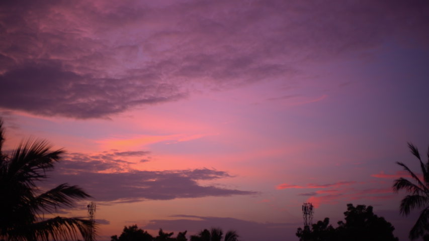 Dusk Beyond the Trees image - Free stock photo - Public Domain photo ...