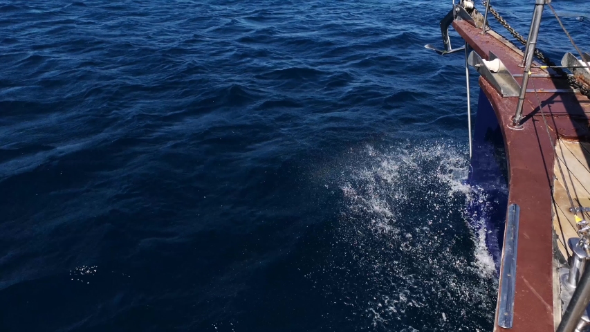 Sea Waves Off the Front Stock Footage Video (100% Royalty-free ...