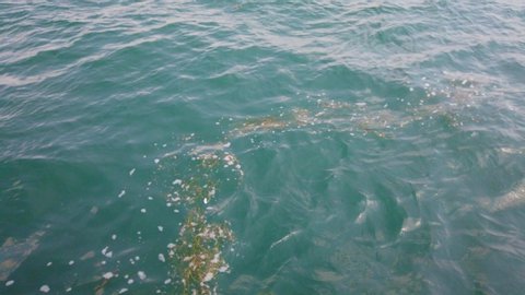 Layered Rocky Bottom Sedimentary Rocks Underwater Stock Footage Video ...