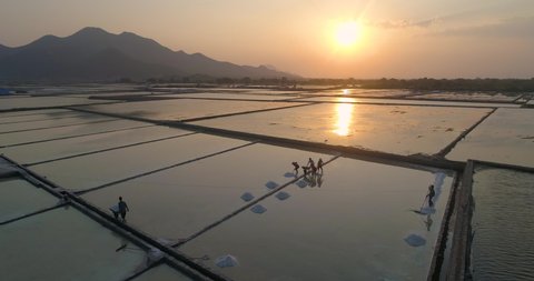 People Working On Salt Field Raw Stock Footage Video (100% Royalty-free ...