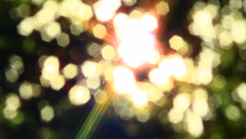 sun rays summer forest Stock Footage Video (100% Royalty-free ...