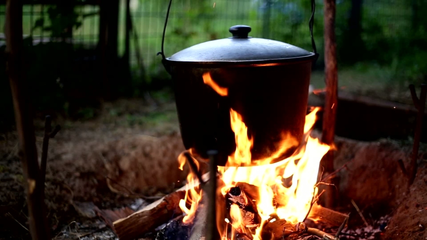 Scout Bonfire Stock Video Footage - 4K and HD Video Clips | Shutterstock