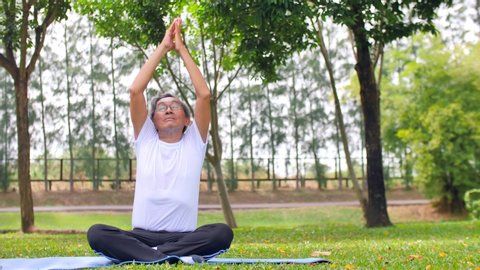 Happy Senior Fitness Couple Park Stock Photo (Edit Now) 111003752