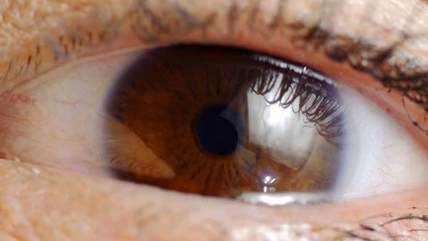 Slow Motion Contraction Pupil Extreme Close Stock Footage Video (100% ...