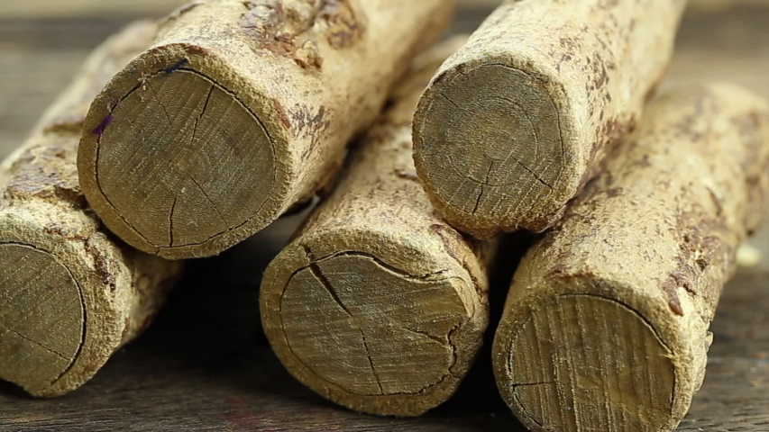 Tanaka tree Stock Video Footage - 4K and HD Video Clips | Shutterstock