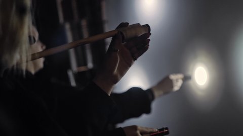 Teamwork Group Actors Playing Shadow Theater Stock Footage Video (100% ...