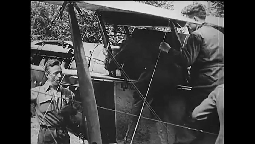 Sheep Airplane Stock Video Footage - 4K and HD Video Clips | Shutterstock