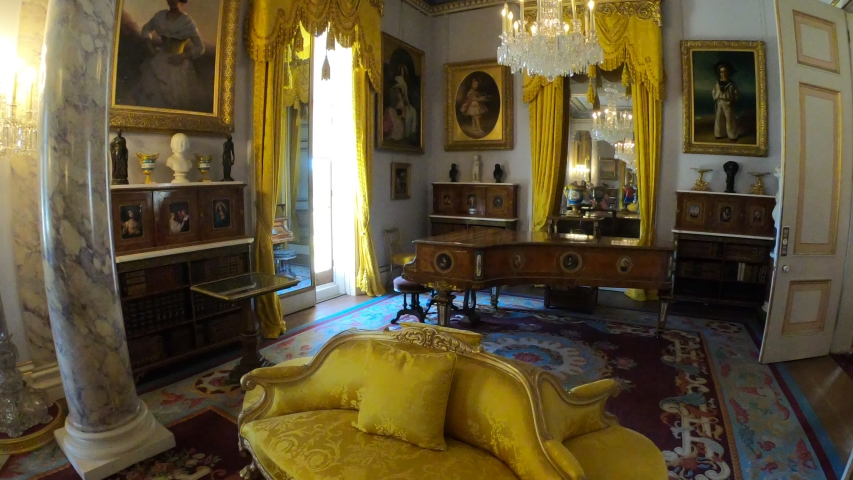 Queen Cow Stock Video Footage - 4K and HD Video Clips | Shutterstock